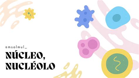 Nucleo Nucleolo Soledad Mulato Udocz