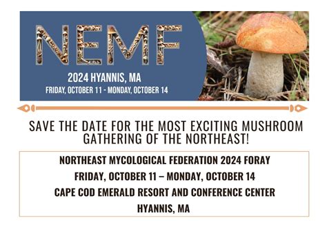 Sam Ristich Foray 2024 Nemf — Rhode Island Mycological Society
