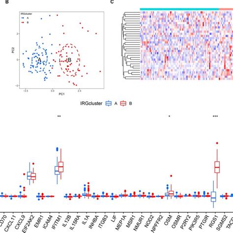 Subtype Classification Based On 33 Differentially Expressed Irgs A Download Scientific Diagram