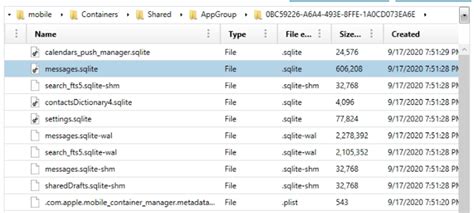D20 Forensics Ios Tracking Bundle Ids For Containers Shared