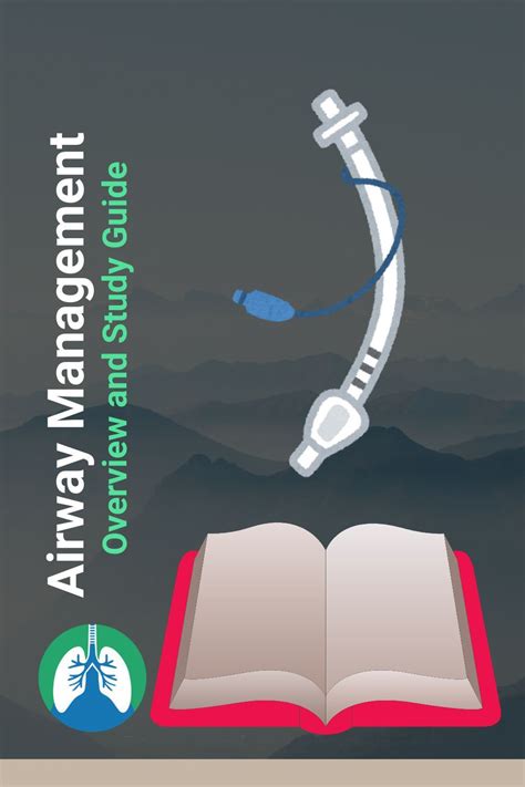 Intubation Overview And Practice Questions Artofit