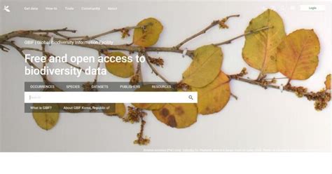 소나무 영어 이름 국제목록에 코리안 첫 표기