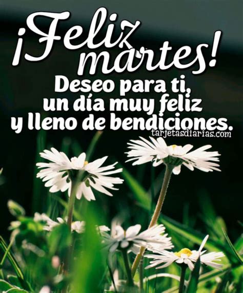 ¡feliz Martes Deseo Para Ti Un DÍa Muy Feliz Y Lleno De Bendiciones
