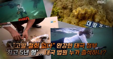 이슈 완전정복 멸종위기 조개 채취·시식까지파문 확산