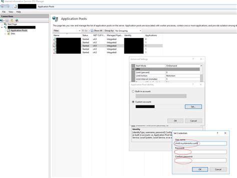 Iis Web App Manage Setup Iis Application Pool Optional Password Field Not Working · Issue