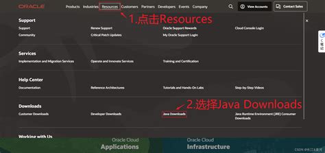 jdk下载安装and配置环境变量 jdk19下载 csdn博客