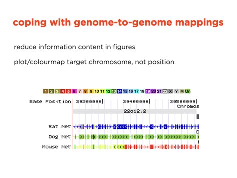 Applications Of Circos Circos Circular Genome Data Visualization