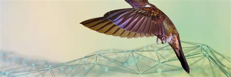 The Future Of Agile Procurement JAGGAER