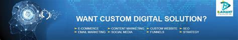 Radiant It Services Pvt Ltd Linkedin