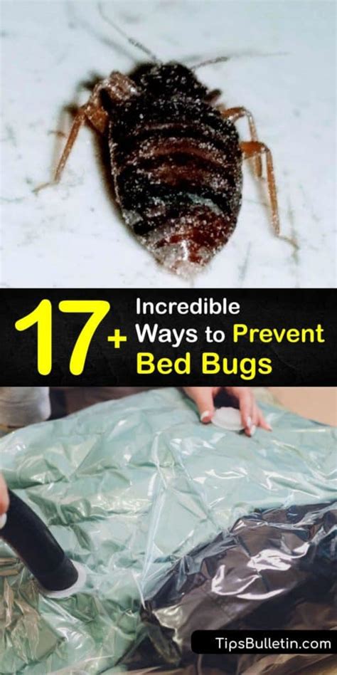 Incredible Ways To Prevent Bed Bugs