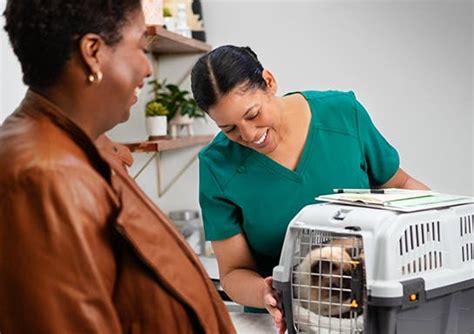 Zorbium™ For Cats Postoperative Feline Pain Management