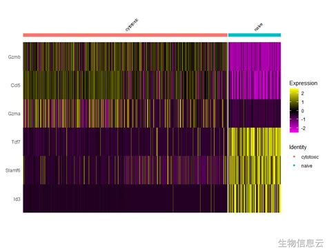 单细胞下游分析 生物信息云