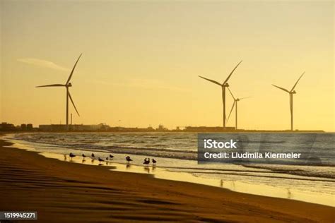 풍차가 있는 해변의 일몰 풍차가 있는 해변의 밝은 주황색 일몰 덴마크 히르트스할스 해변의 일몰 북해 해변의 일몰 0명에 대한 스톡 사진 및 기타 이미지 Istock