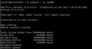Starting And Stopping Listeners In Oracle Dot Net Tutorials