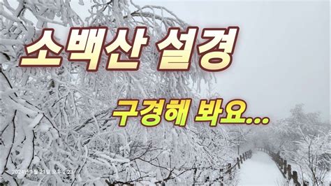 소백산 비로봉 어의곡 코스 설경 2024 01 21 YouTube