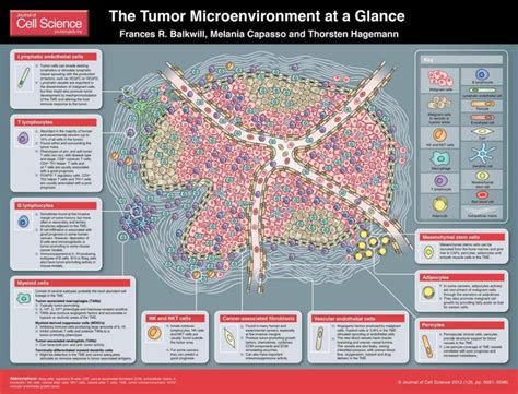Grant M Barthel On Linkedin The Next Decade Of Biology Spatial Genomics Digital Pathology