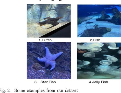 Figure 2 From Efficient Underwater Object Detection Using Deep Neural Networks Semantic Scholar