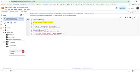 Working With Data And Files In Colab Data Programming