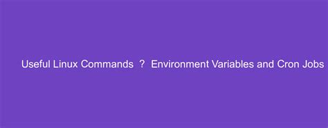 Useful Linux Commands — Environment Variables And Cron Jobs