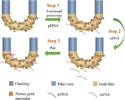 Figure 1 From Porous Gold Nanocubes Particle Sensitized U Shaped Fiber