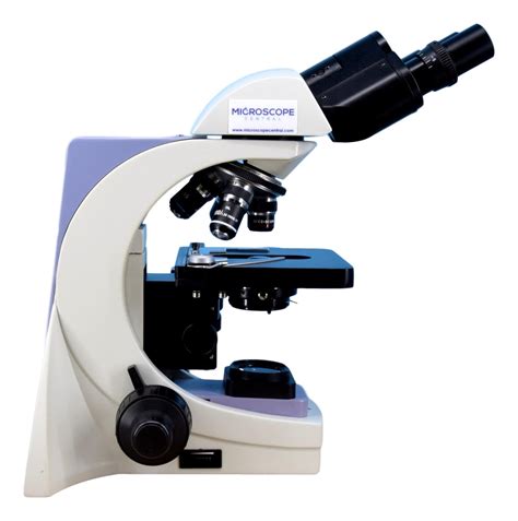 Accu Scope 3002 Microscope Refurbished With Warranty Microscope Central