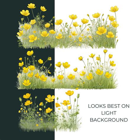 Buttercup Flower Border Clipart Yellow Floral Border Png Instant
