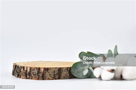 제품 프리젠 테이션을위한 빈 연단 유칼립투스의 가지 옆에 있는 나무의 미니멀한 장면 피부와 바디 케어를 위한 친환경 유기농 천연