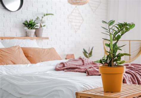 Simple Ways To Start Decluttering Your Life