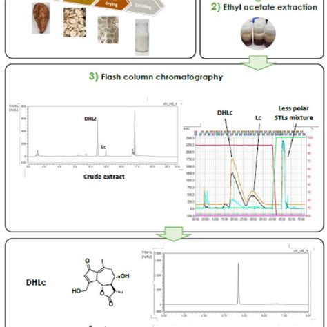 Three Main Steps Of The Extraction Purification Process Download Scientific Diagram
