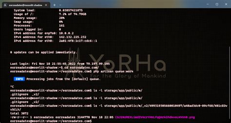 Images Not Being Loaded · Issue 3801 · Pixelfedpixelfed · Github