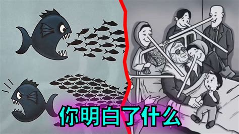 爆笑解说原来鸡汤图还可以这么理解 多巴安工作室 多巴安工作室 哔哩哔哩视频