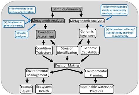 Dna Barcoding Conceptual Diagrams Of Bioassessment Research Water