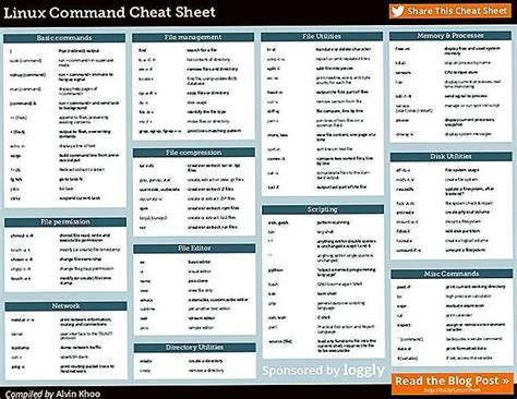 Основные команды линукс Основные команды Linux терминала с примерами использования