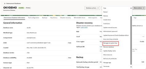 Manage Master Encryption Keys In Oracle Key Vault