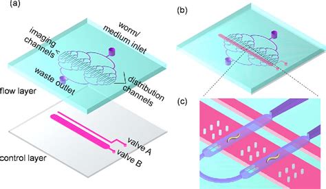 figure 1 from a programmable microvalve based microfluidic array for