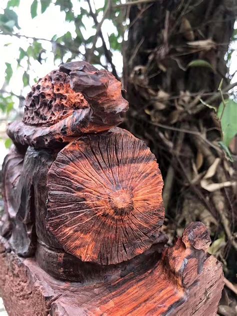 老挝大红酸枝达摩 集木堂交趾黄檀达摩摆件整木雕刻栩栩如生集木堂凭祥红木凭祥红木网