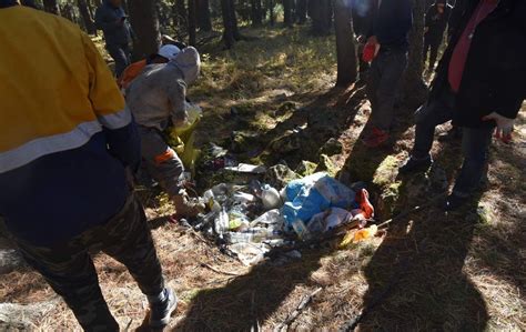 Нийслэлийн ойн бүсээс самарчдын 26 отог 120 хүнийг буулгаж хууль бусаар түүсэн самрыг хураажээ