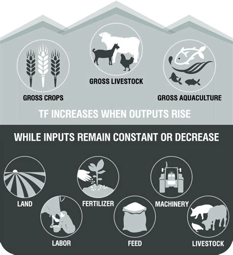 Total Factor Productivity Tfp In Agriculture Download Scientific