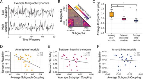 Dynamical Coupling Of Module Sensitive Subgraphs A We Measure The Download Scientific