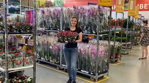 НОВОЕ ПОСТУПЛЕНИЕ ЦВЕТОВ И РАСТЕНИЙ В ГРИНВИЛЛЬ СМОТРИТЕ ВИДЕОБЗОР Youtube