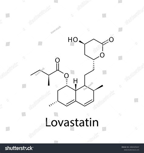 156 Hdl Drawing 이미지 스톡 사진 및 벡터 Shutterstock