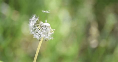 お金の不安を減らす毎日の過ごし方｜engin23