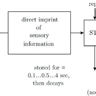 Structural Model Of Memory Download Scientific Diagram