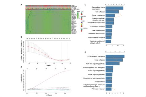 Identification Of Prognostic Pyroptosis Related Genes In Gastric Download Scientific Diagram