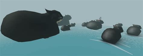 Roblox Item Asylum Maxwell Tìm Hiểu Về Vật Phẩm đặc Biệt Và Cách Sử Dụng Trong Trò Chơi