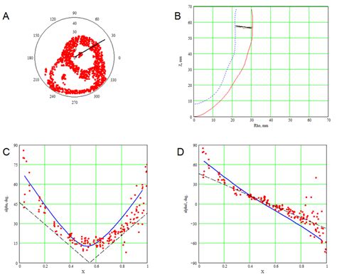 Fiber Angles In The Model And In The Experimental Data The Basal Area
