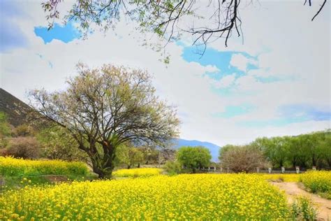 Markline 标示线的使用 知乎