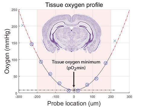 Using Tissue Oxygen Levels To Assess Ex Vivo Brain Slice Quality