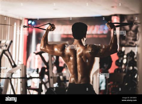 Cable Overhead Curl Exercise Database Biceps14 Overhead Biceps