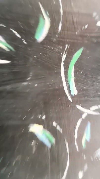 My Sister Dwaring Youtube